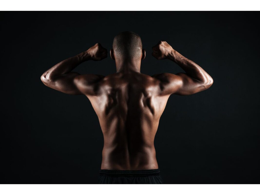 Best Supplements To Get Lean And Ripped Beginners Guide To Getting