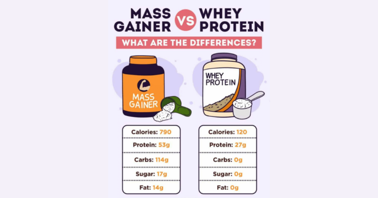 Best Supplements to Gain Muscle Mass: Mass Gainer vs Whey Protein ...