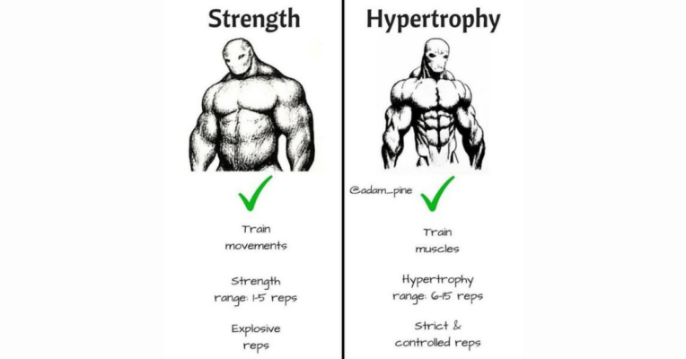 Want To Build Muscle? Make Sure You Follow These Tips - Nutrabay Magazine