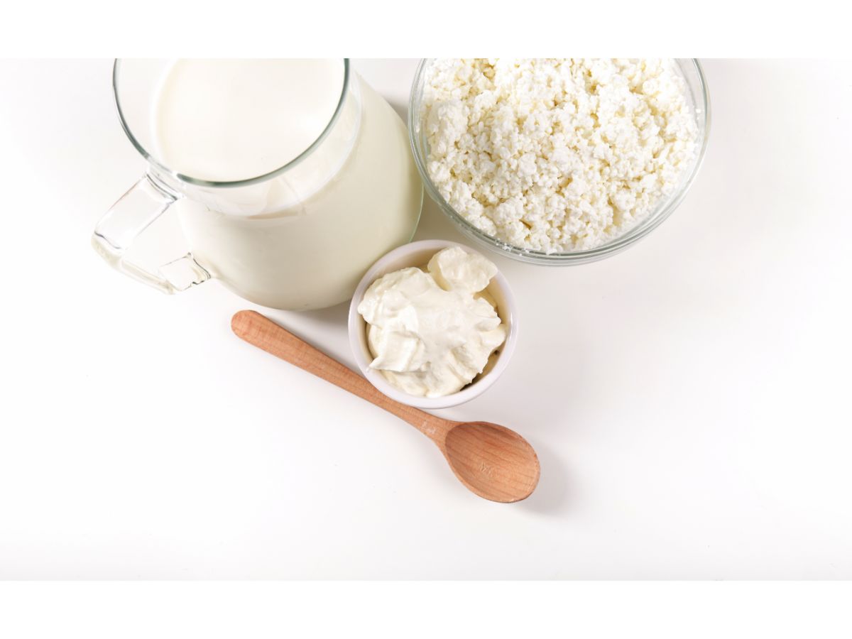 The 7 Best Low-Carb, Keto-Friendly Protein Powders - Nutrabay Magazine