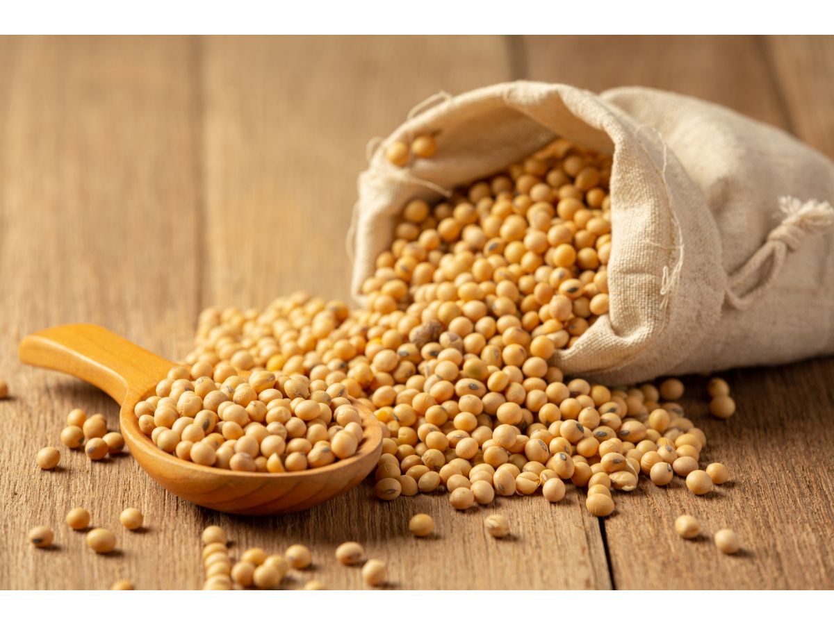 Best 20 Foods That Help You Build Lean Muscle - Nutrabay Magazine