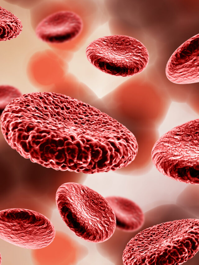 Foods to Increase Platelets in Dengue - Nutrabay Magazine