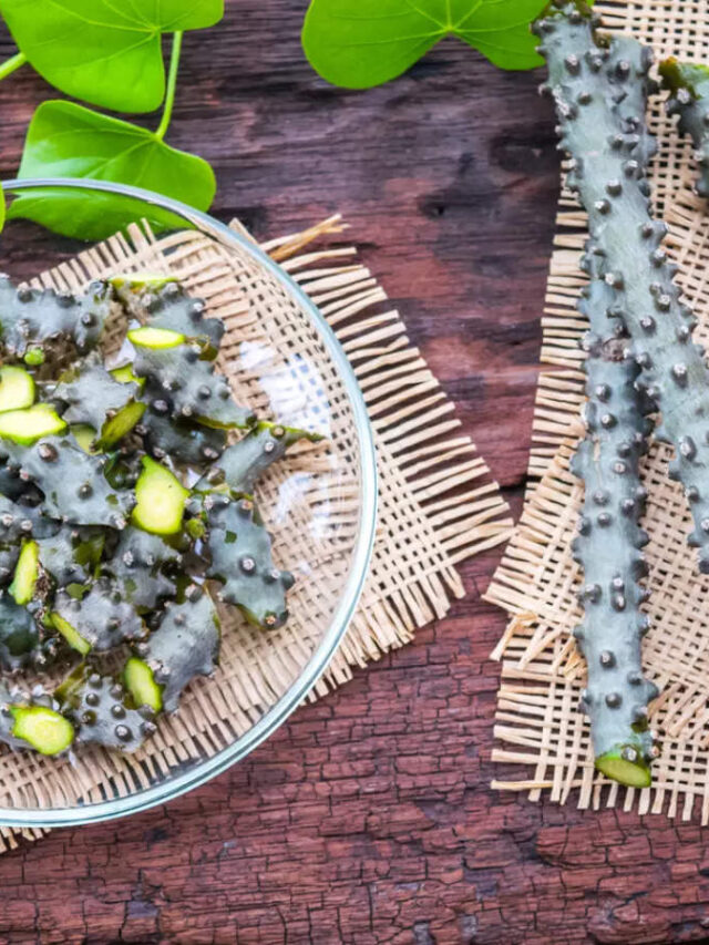 Amazing Giloy Juice Benefits You Must Know! - Nutrabay Magazine