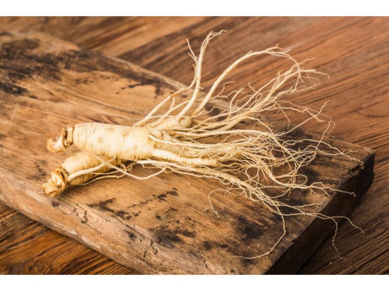Ginseng: 10 Benefits, Uses, Dosage & Side Effects - Nutrabay Magazine