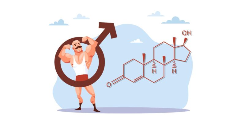 Importance of Testosterone in Muscle Building - Nutrabay Magazine